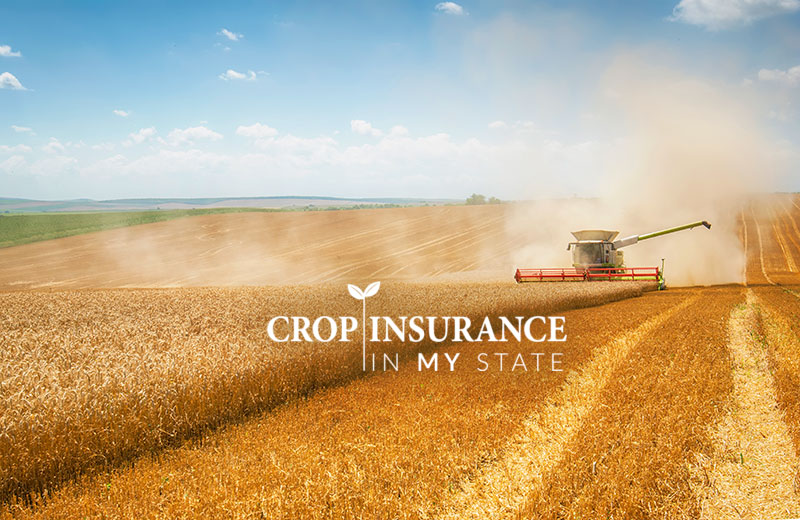 Crop Insurance an Essential Part of Farmers’ Hurricane Preparedness ...
