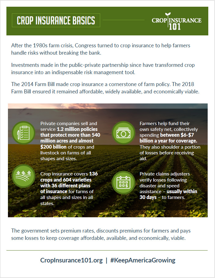 Facts & Figures – new101