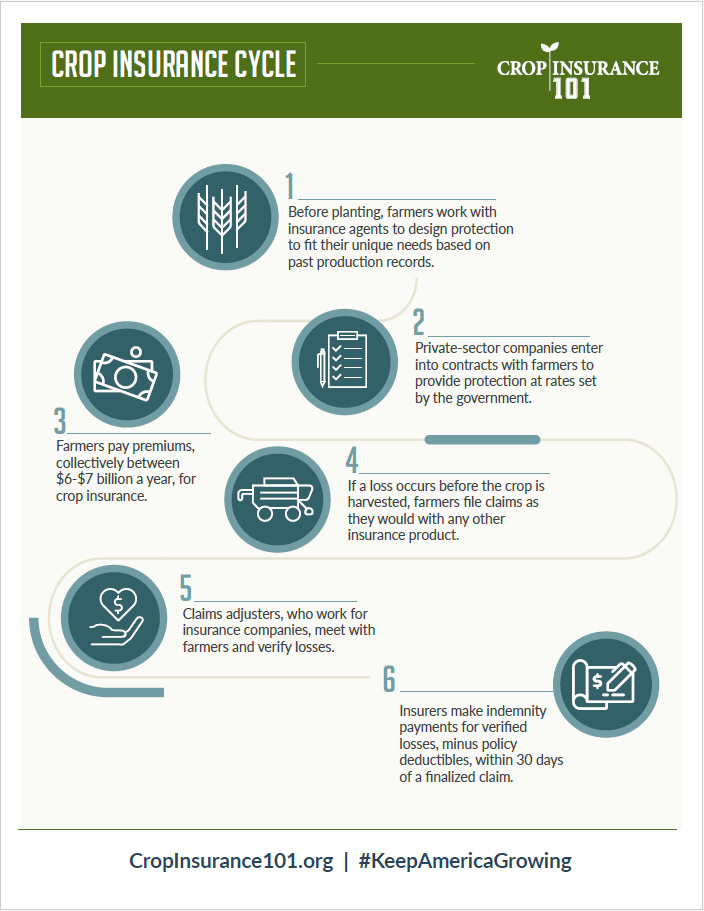 Facts & Figures – new101