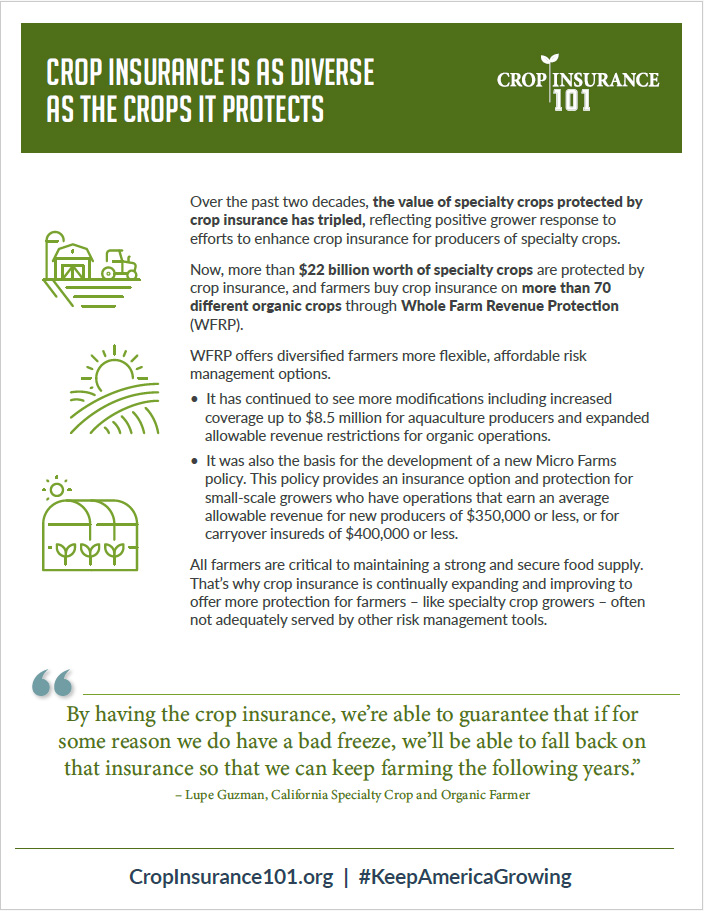 Facts & Figures – new101